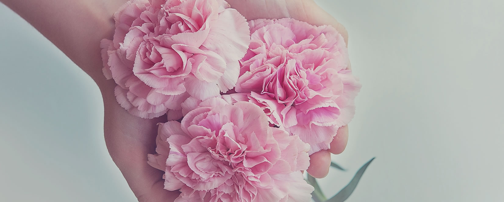 Breast Cancer Angels – Nonprofit Organization