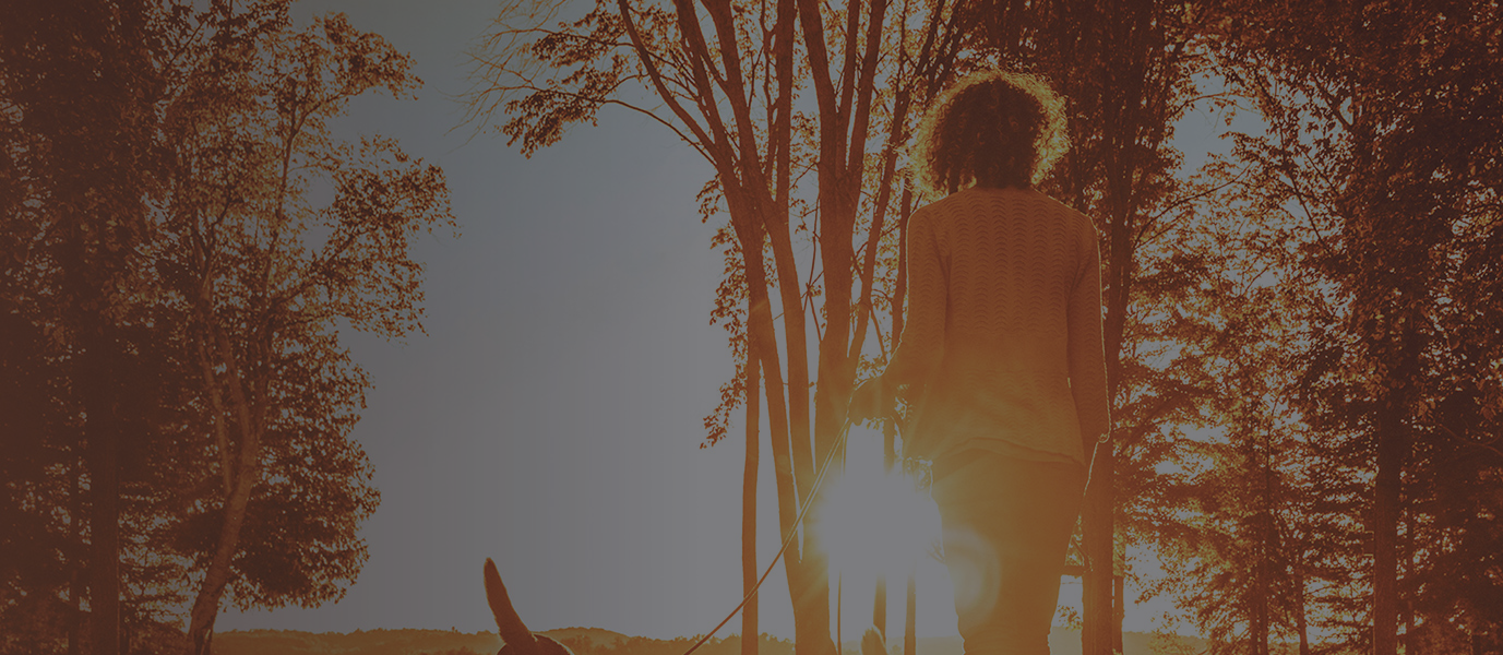 Breast Cancer Angels – Nonprofit Organization